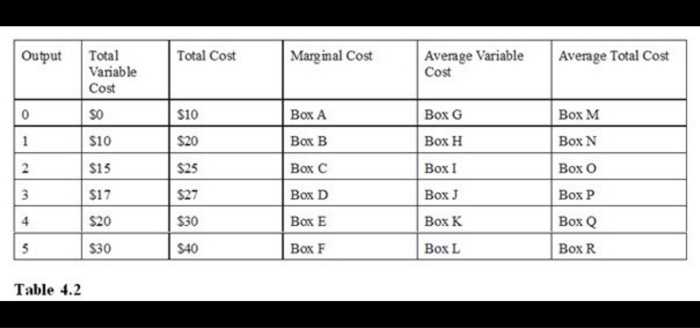 Solved Total Cost Total Cost Function Output Figure 4.2 | Chegg.com