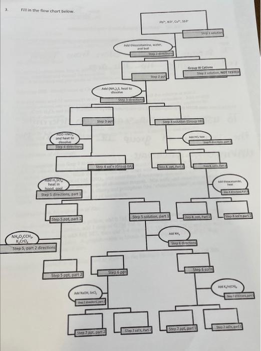 Fill in the flow chart below. | Chegg.com
