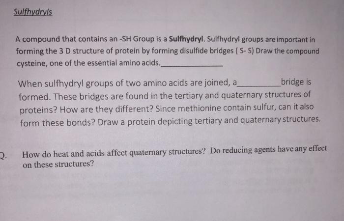 Solved Sulfhydryls A compound that contains an-SH Group is a | Chegg.com