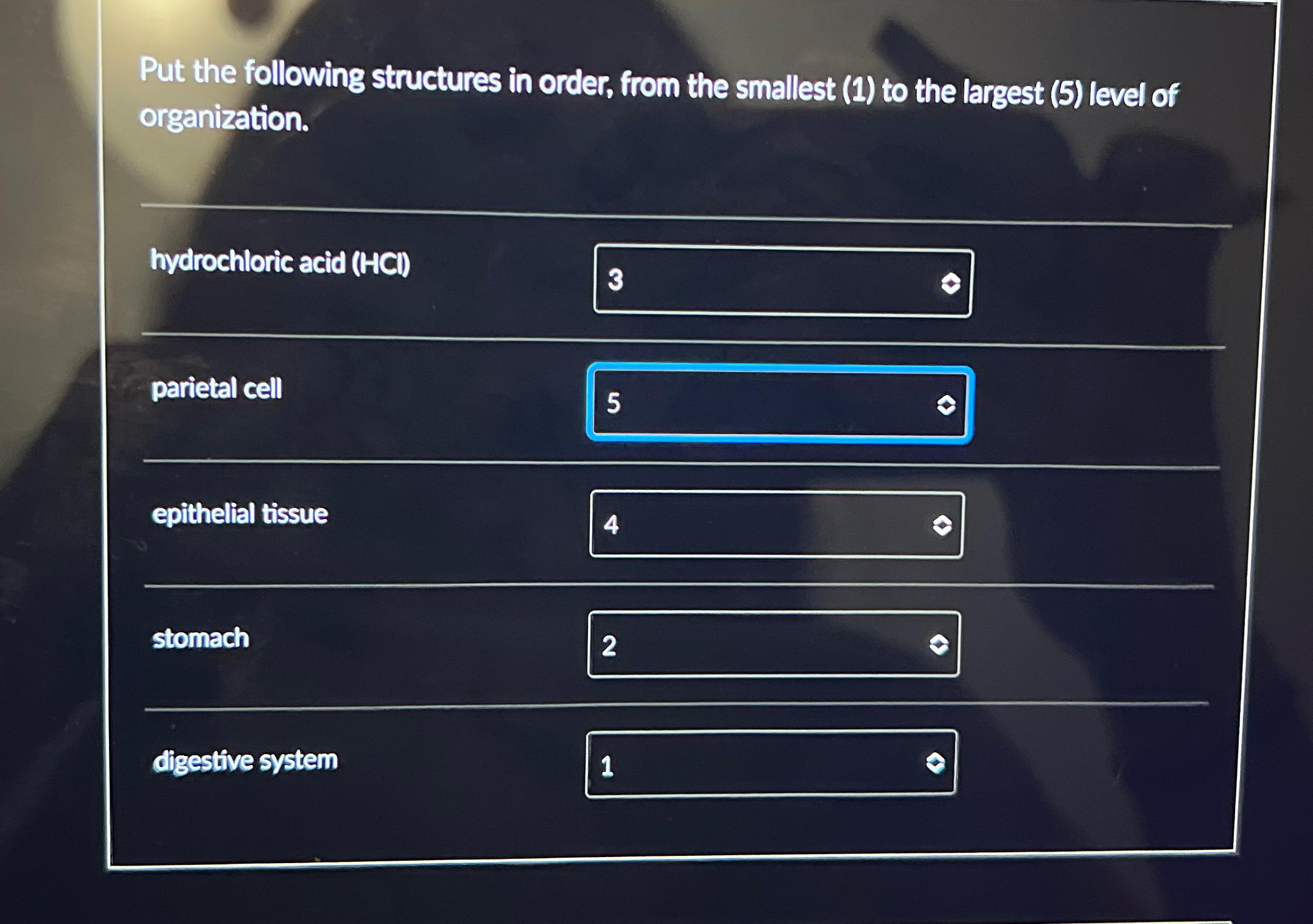 Solved Put the following structures in order, from the | Chegg.com