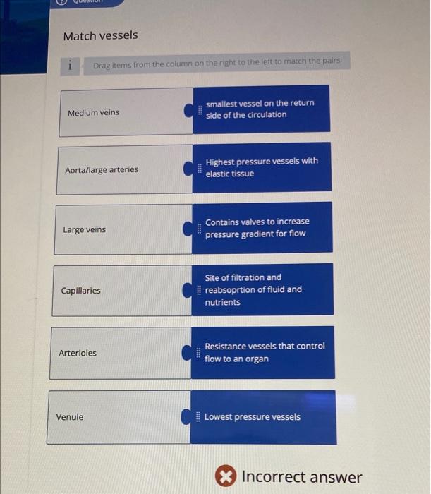 Match vessels Aorta/large arteries Incorrect answer | Chegg.com