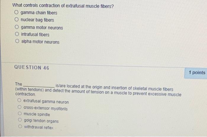 Solved What controls contraction of extrafusal muscle | Chegg.com