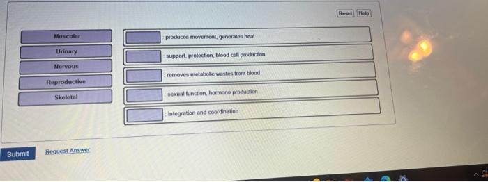 Solved Match each key term to the appropriate description. | Chegg.com