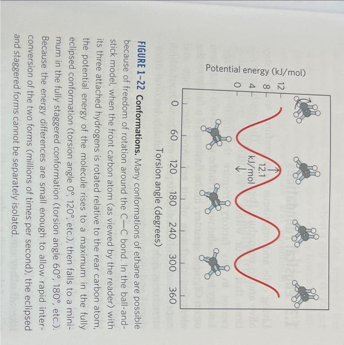 Solved 21. Relative Stability of Two Conformers Explain why | Chegg.com