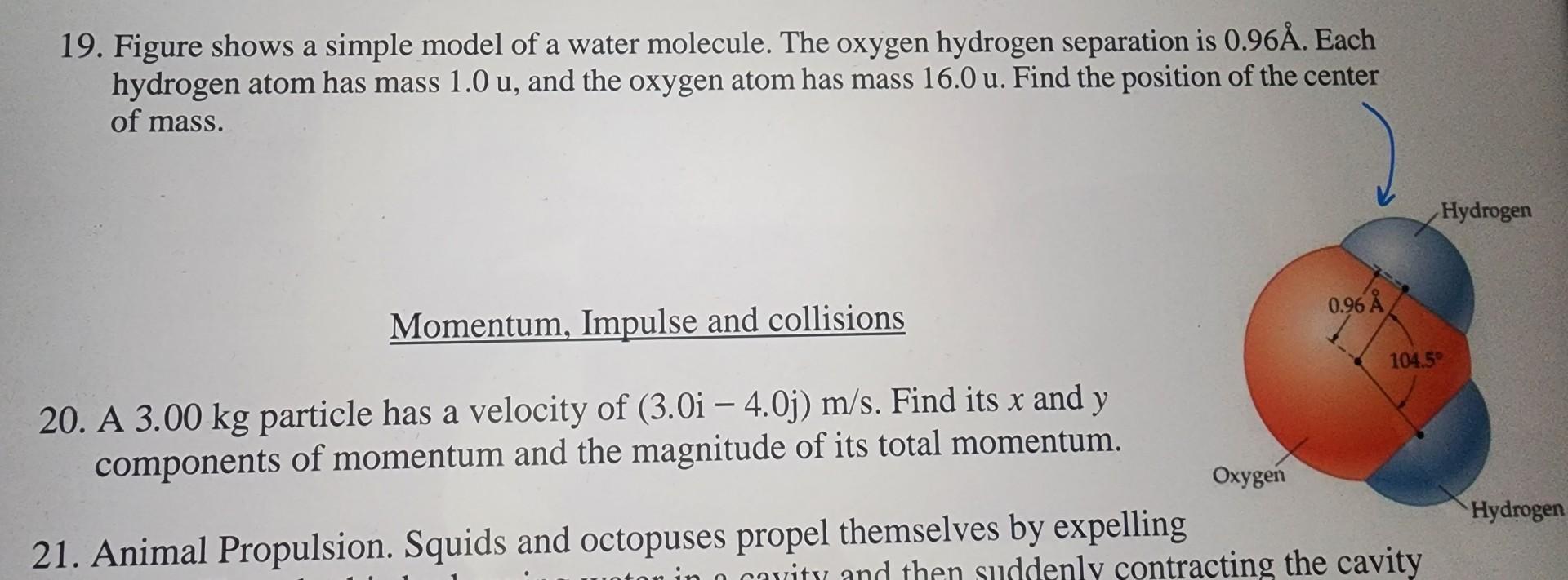 Solved 19. Figure shows a simple model of a water molecule. | Chegg.com