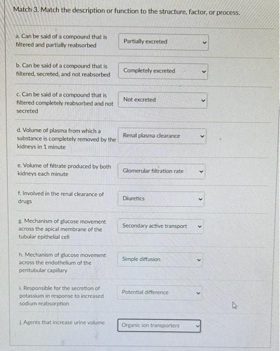 Solved Match 4. Match the description or function to the | Chegg.com