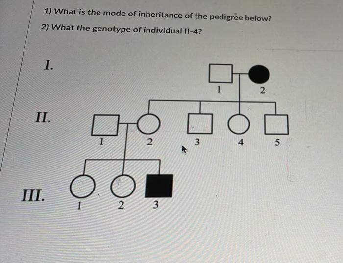 Solved 1) What is the mode of inheritance of the pedigree | Chegg.com