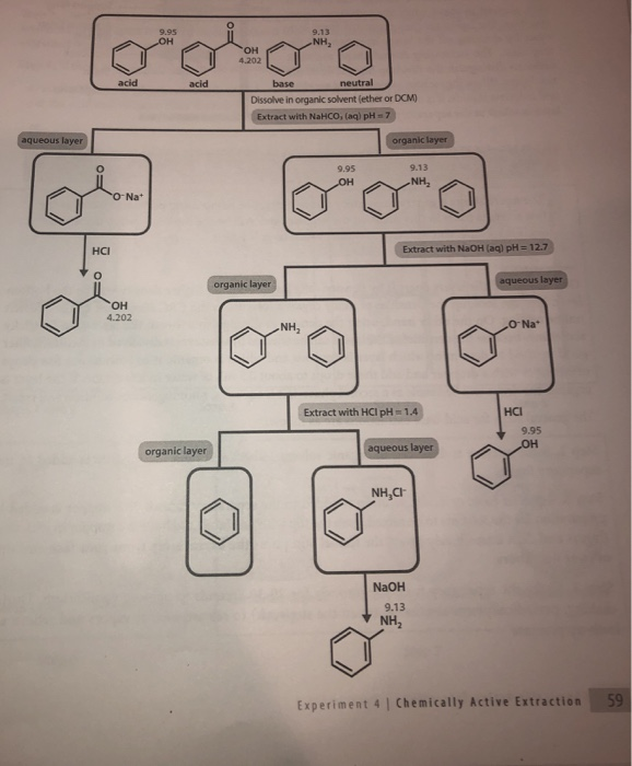 Solved Name: e Hanna Jennings Lab Section: NEOCAINE 0 | Chegg.com