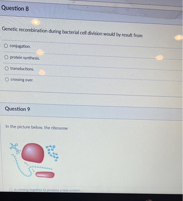Solved Genetic recombination during bacterial cell division | Chegg.com