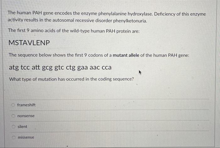 Solved The human PAH gene encodes the enzyme phenylalanine | Chegg.com