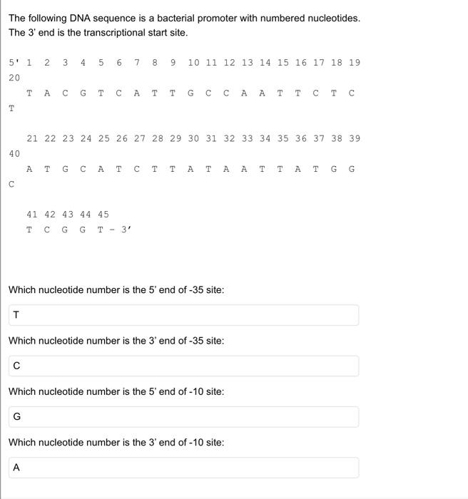 Solved The following DNA sequence is a bacterial promoter | Chegg.com