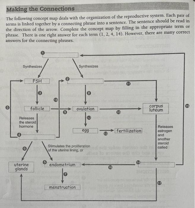 Solved Making the Connections The following concept map | Chegg.com