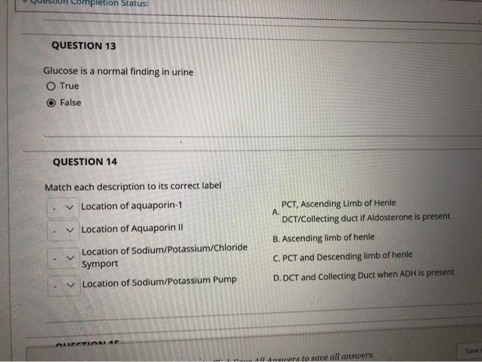 Solved Question Completion Status: QUESTION 13 Glucose is a | Chegg.com