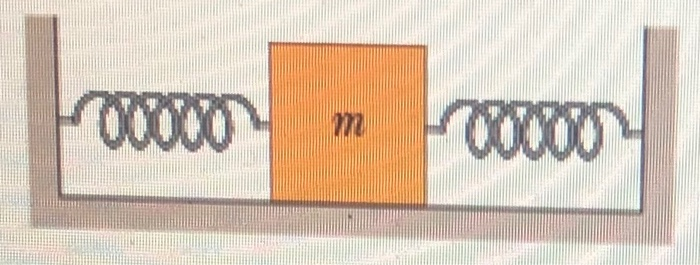 Solved In the figure below, two identical springs of spring | Chegg.com