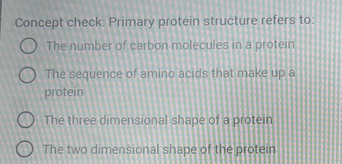 Solved Concept check: Primary protein structure refers | Chegg.com