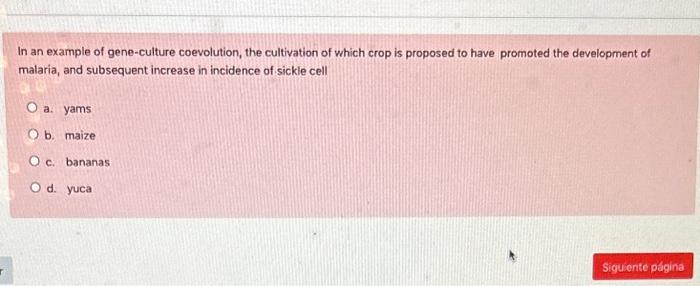 Solved In an example of gene-culture coevolution, the | Chegg.com