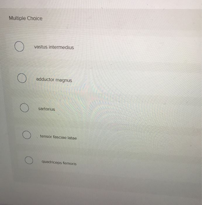 Solved Which structure is highlighted? Multiple Choice O | Chegg.com