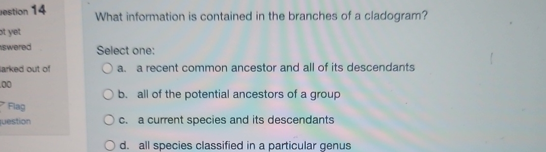 Solved What information is contained in the branches of a | Chegg.com