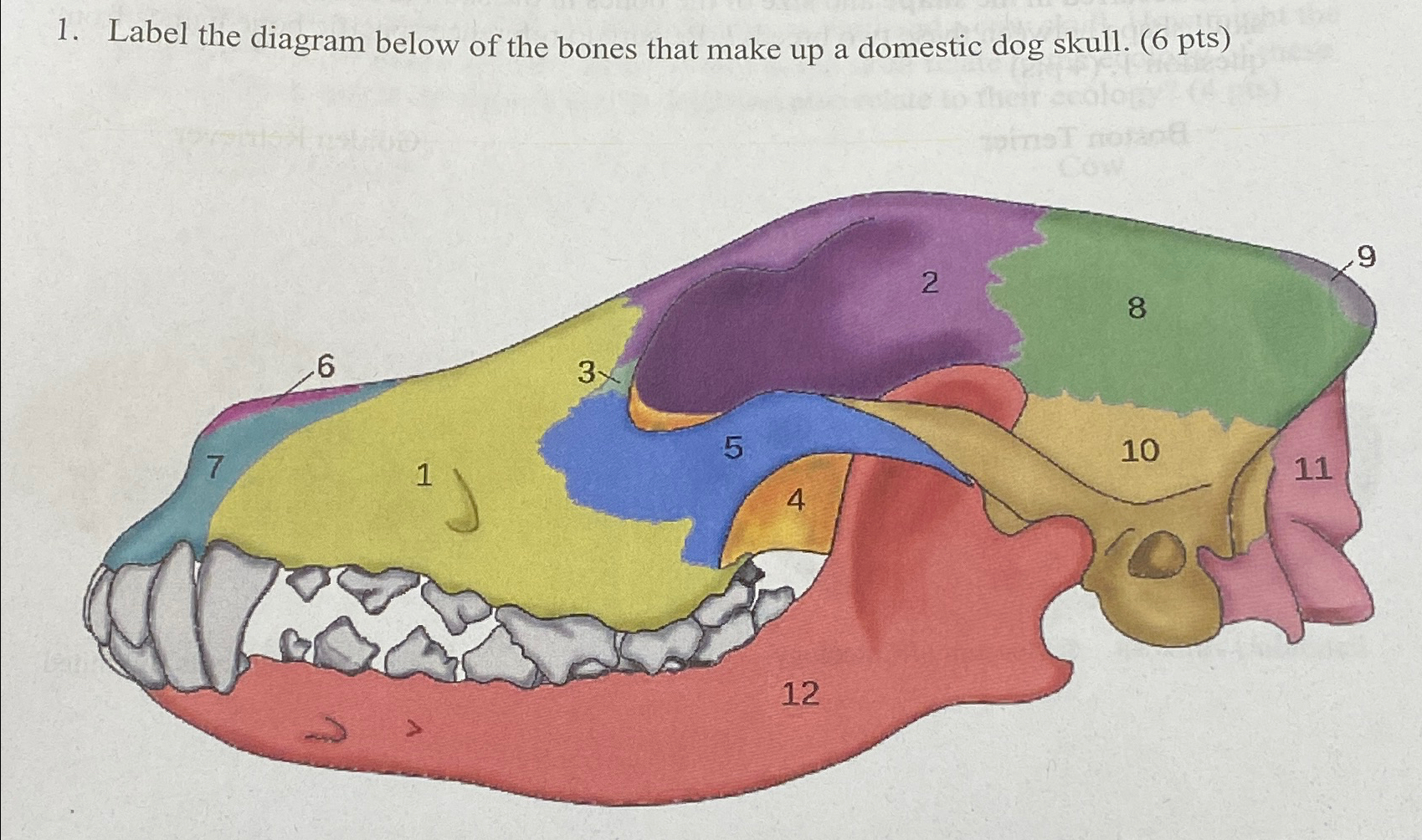 Solved Label the diagram below of the bones that make up a | Chegg.com