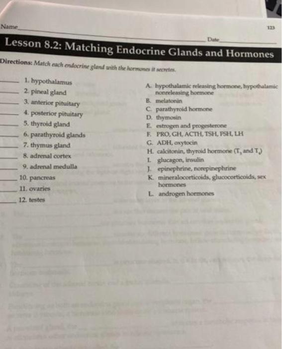 Solved Name Lesson 8.2: Matching Endocrine Glands and | Chegg.com