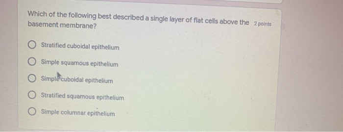 Solved Which of the following best described a single layer | Chegg.com