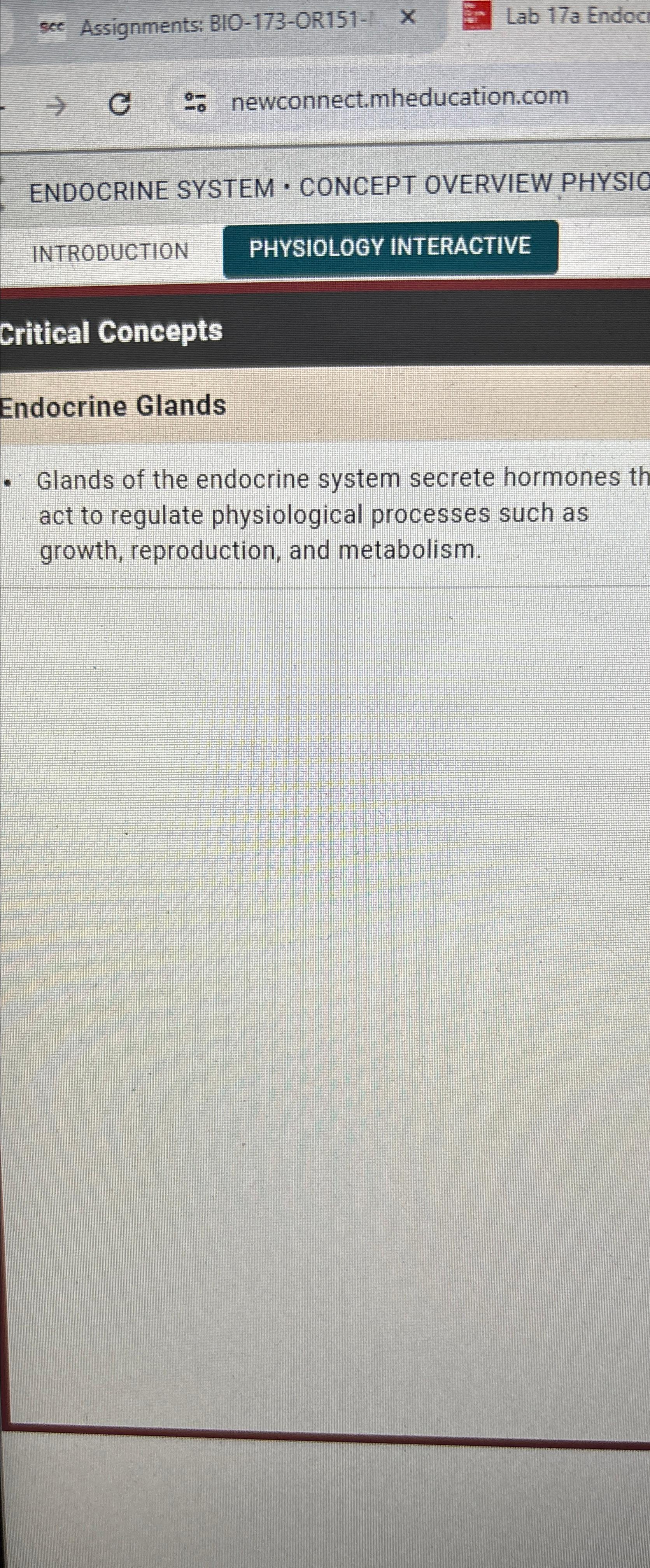Solved Assignments: BIO-173-OR151-Lab 17a EndocENDOCRINE | Chegg.com