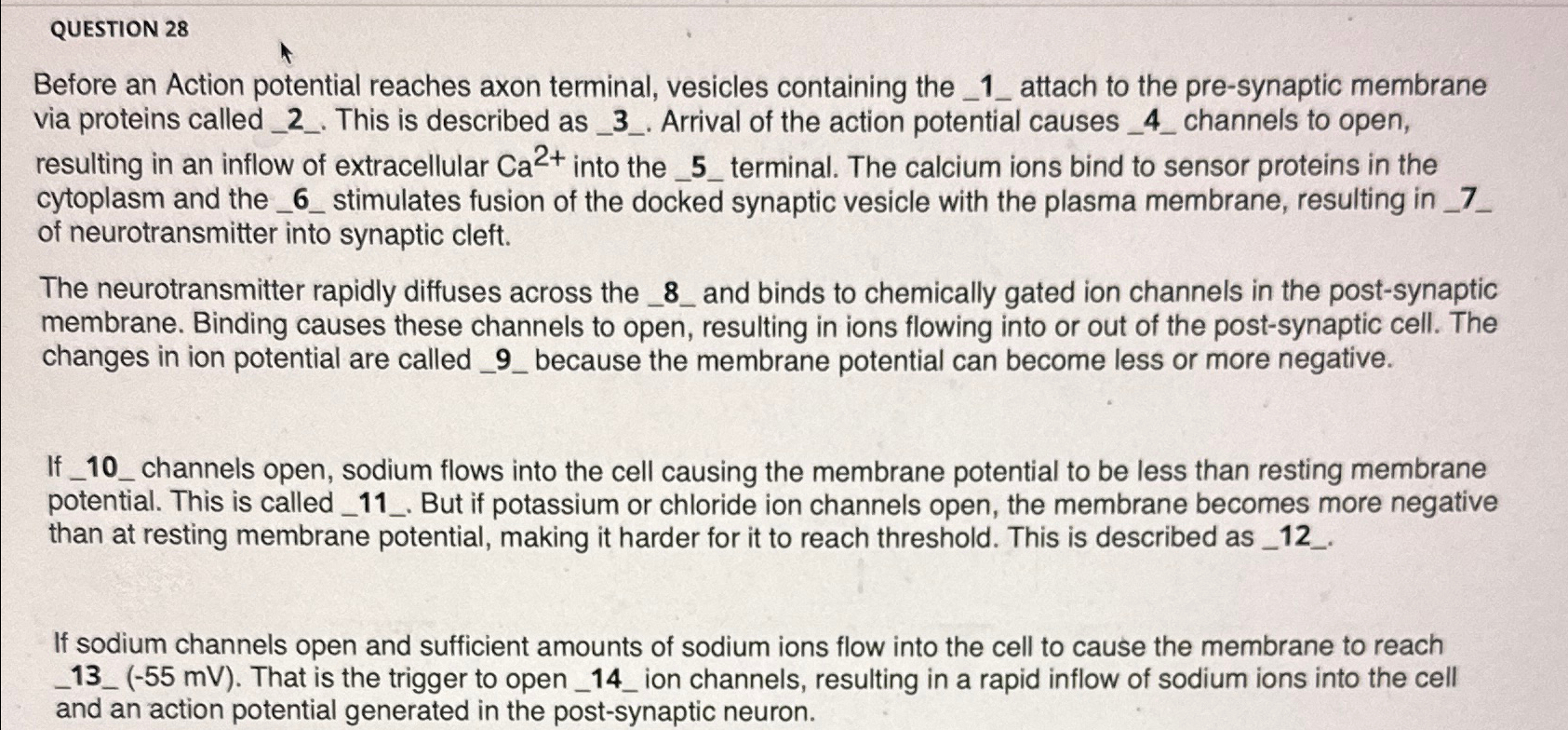 QUESTION 28Before an Action potential reaches axon | Chegg.com