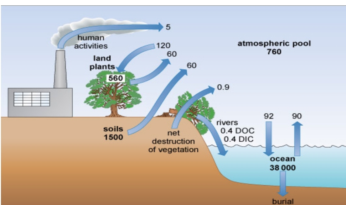From the figure below calculate the approximate | Chegg.com