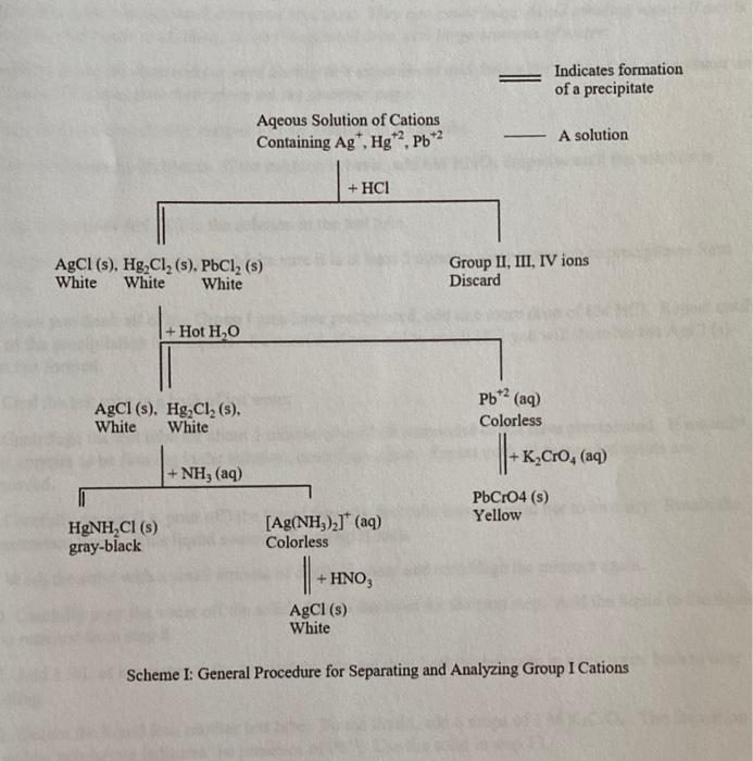 Solved Qualitative Analysis - Identification of Group I | Chegg.com