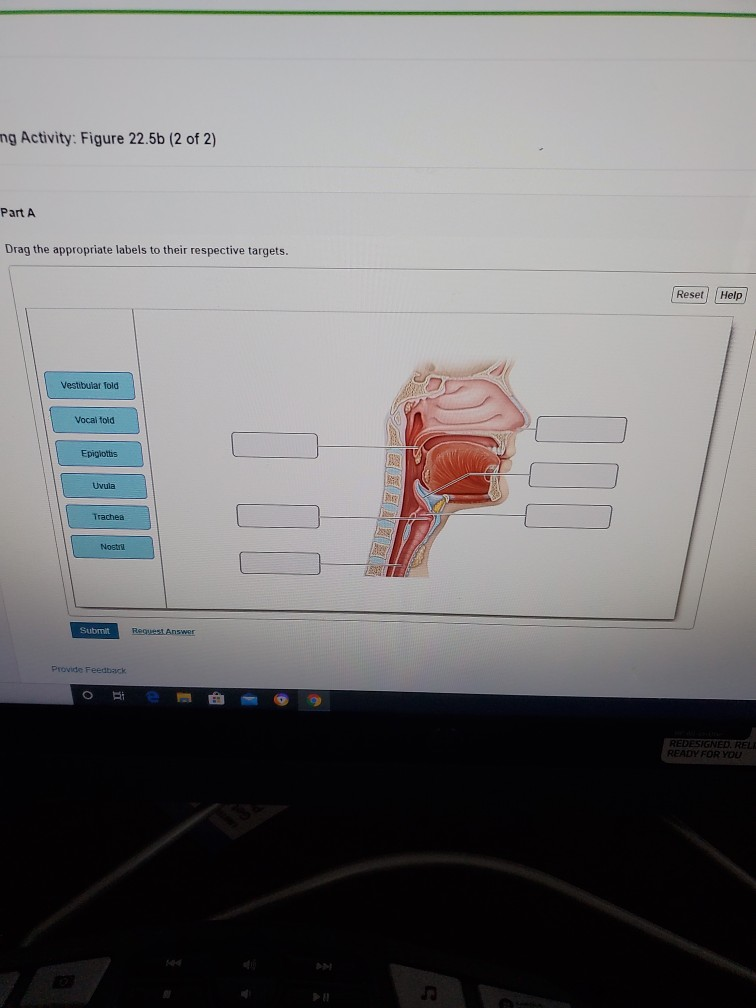 Solved mg Activity: Figure 22.5b (2 of 2) Part A Drag the | Chegg.com