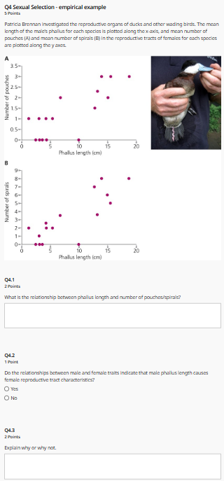 Solved Q4 ﻿Sexual Selection - ﻿empirical example SFuints | Chegg.com