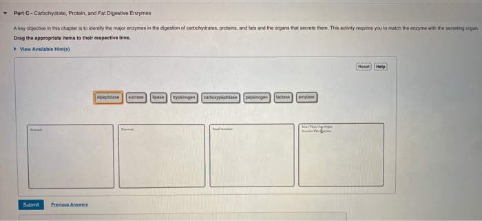Solved Part - Carbohydrate, Protein, and Fat Digestive | Chegg.com