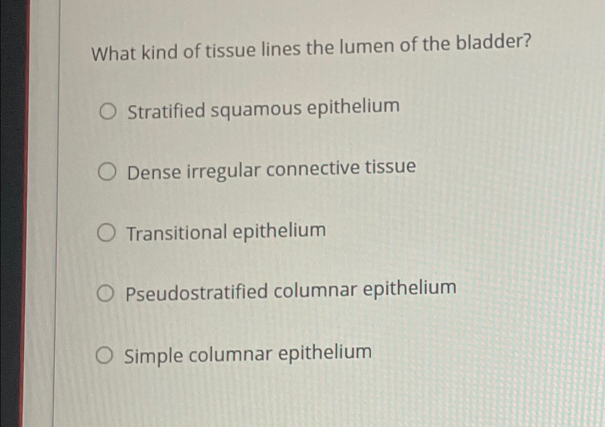 Solved What kind of tissue lines the lumen of the | Chegg.com