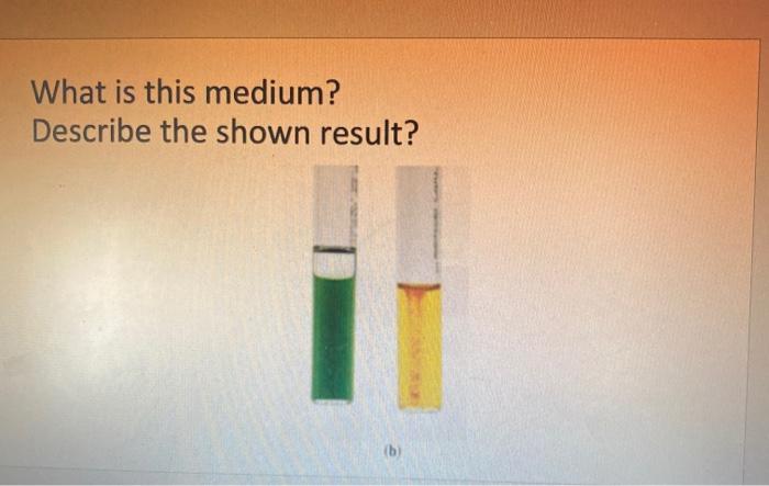 Solved Identify this test. Which tube shows a positive | Chegg.com