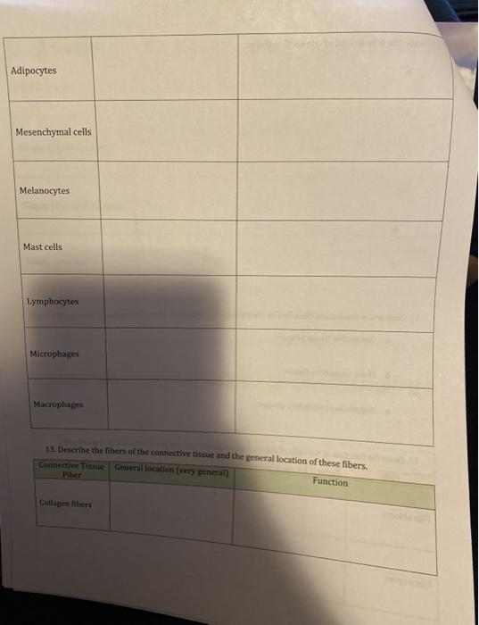 Solved Simple Glands Examples Drawing Simple Tubular Simple | Chegg.com