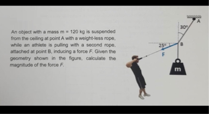 Solved Need help with Statics assignment. No need for | Chegg.com