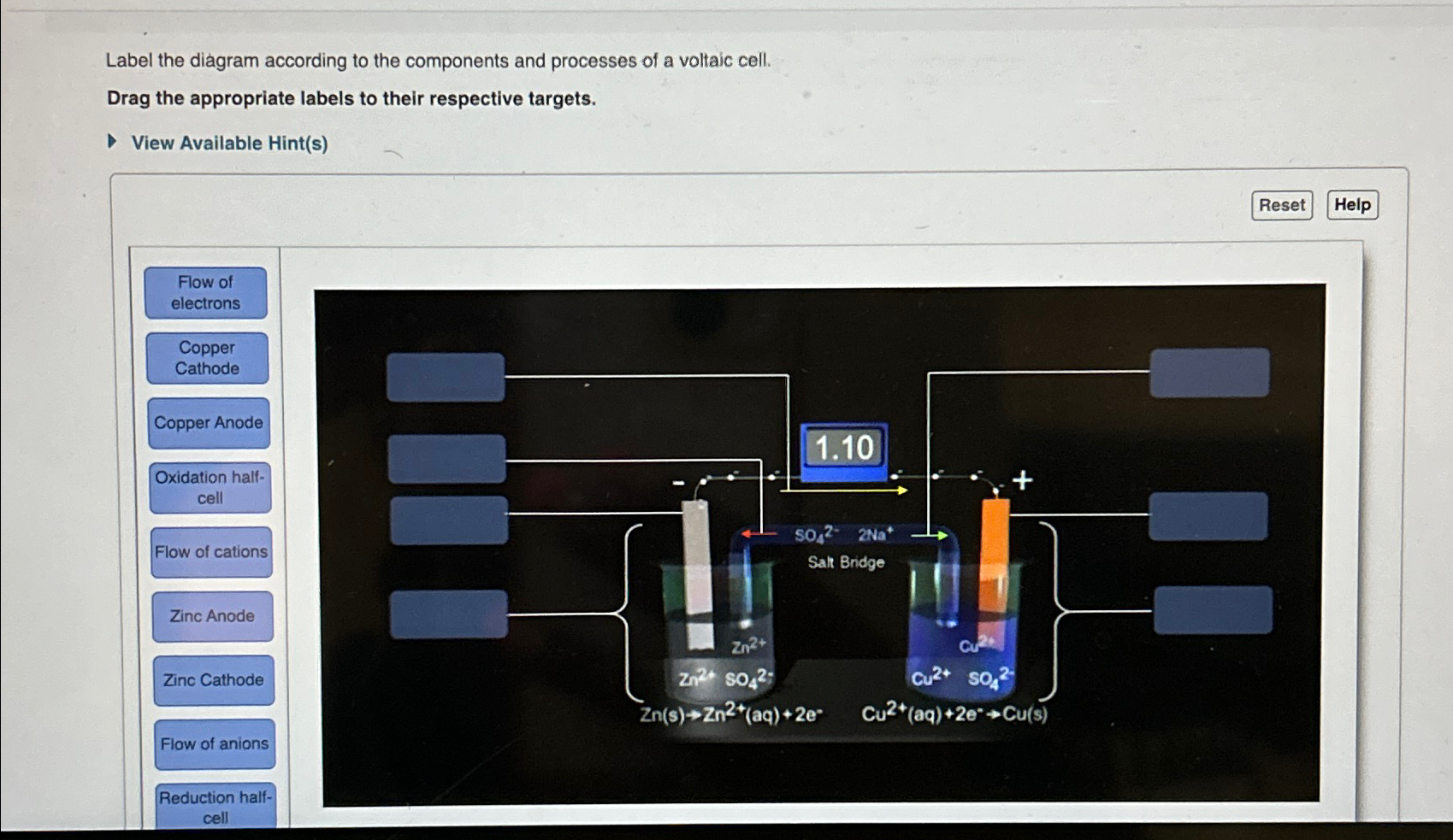 Solved Label the diagram according to the components and | Chegg.com