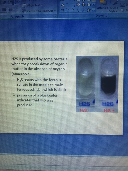 Exercise 8 Use Of The Api 20e System To Identify Gram