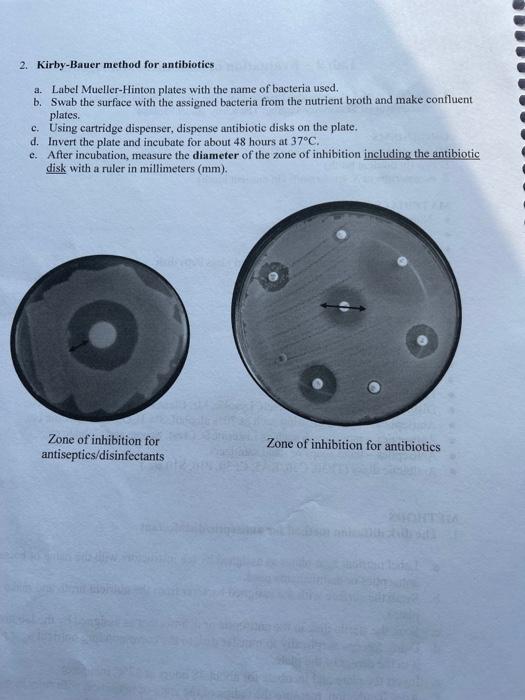 Solved Write a prelab including purpose and procedures in | Chegg.com