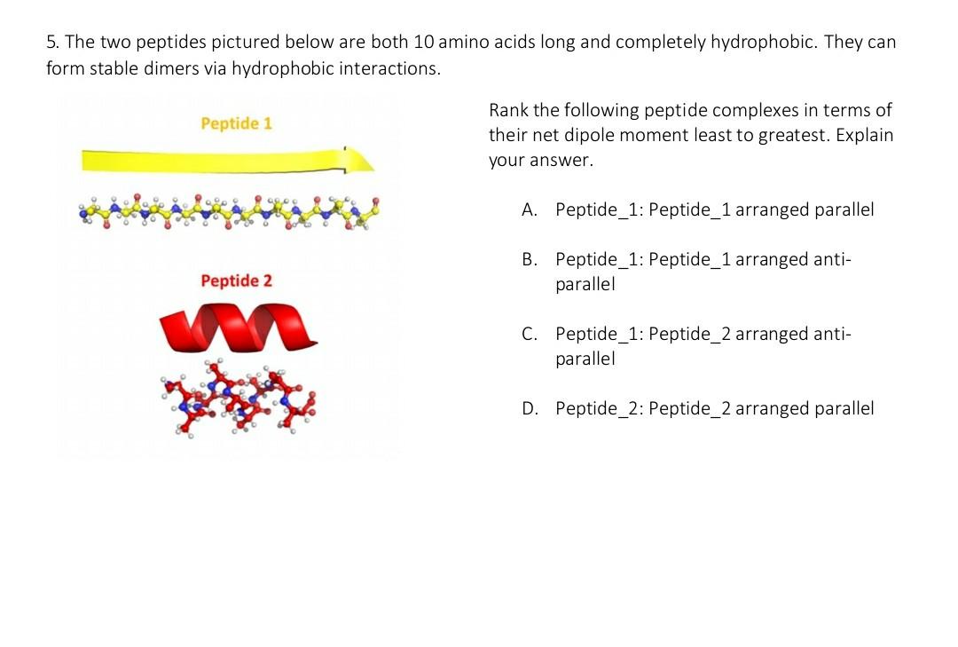 5. The two peptides pictured below are both 10 amino | Chegg.com