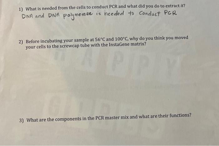 Solved 1) What is needed from the cells to conduct PCR and | Chegg.com
