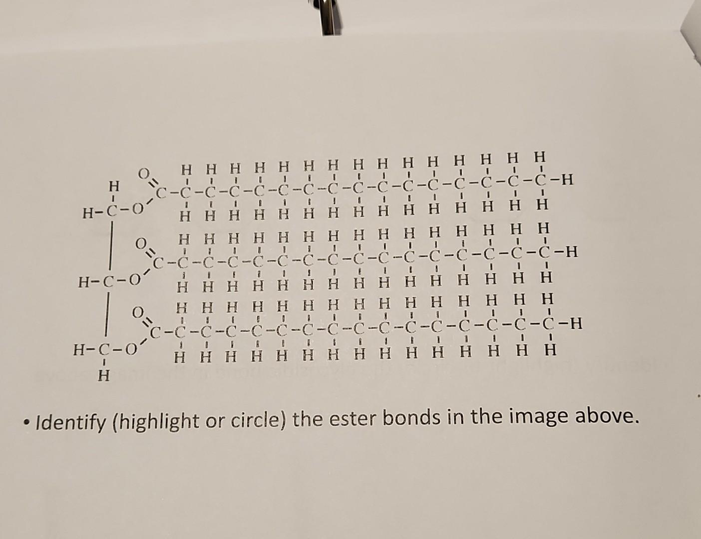 Solved - Identify (highlight or circle) the ester bonds in | Chegg.com
