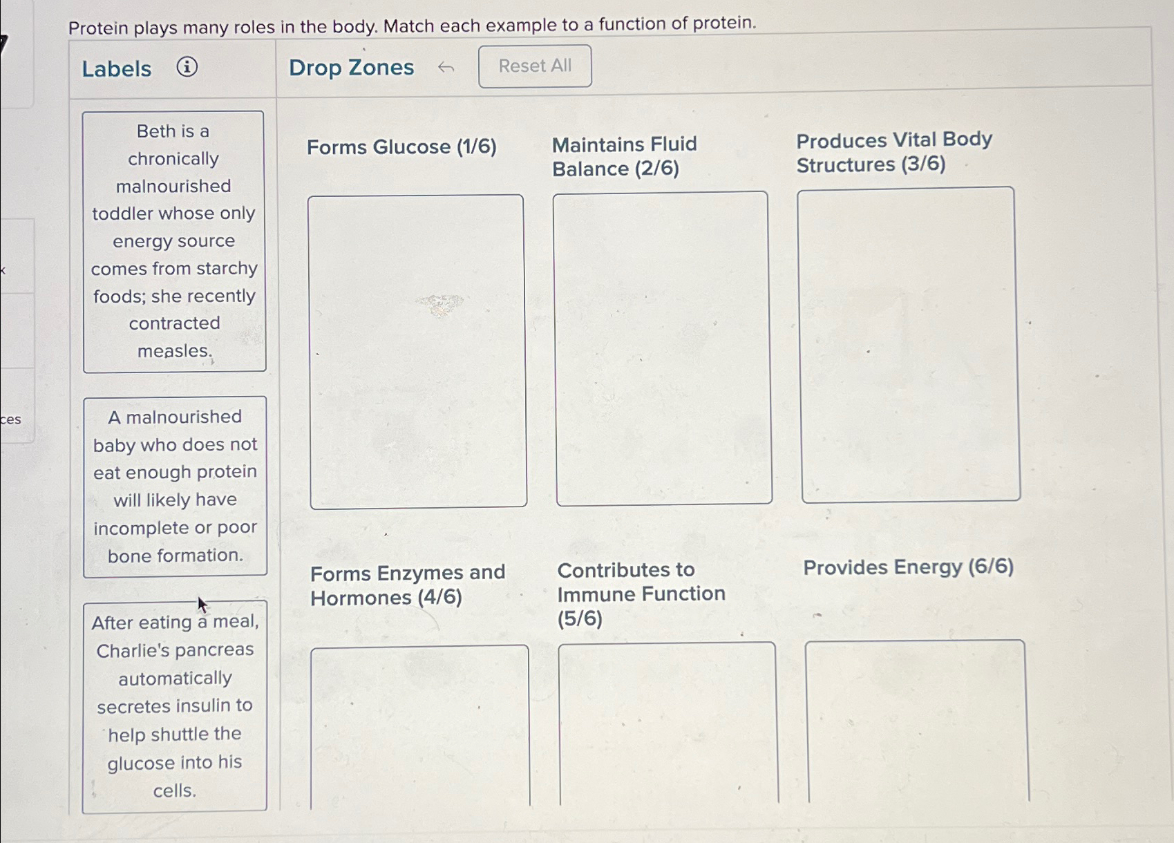 Solved Protein plays many roles in the body. Match each | Chegg.com