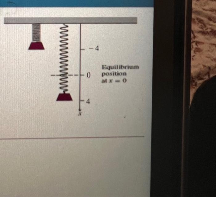 Solved A weight is attached to a spring and reaches its | Chegg.com