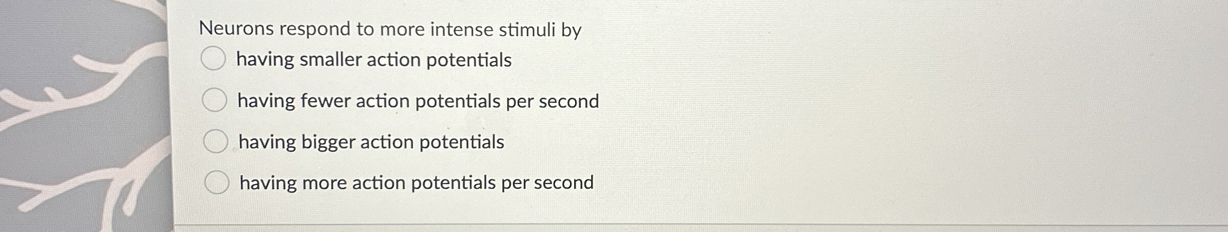 Solved Neurons respond to more intense stimuli byhaving | Chegg.com