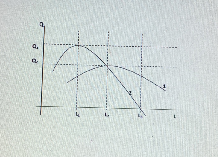 Solved Output is increasing in the labor input up to what | Chegg.com