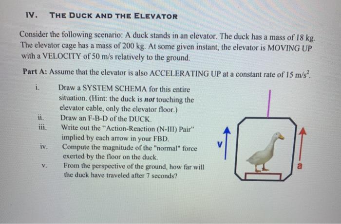 Solved IV. THE DUCK AND THE ELEVATOR Consider the following | Chegg.com