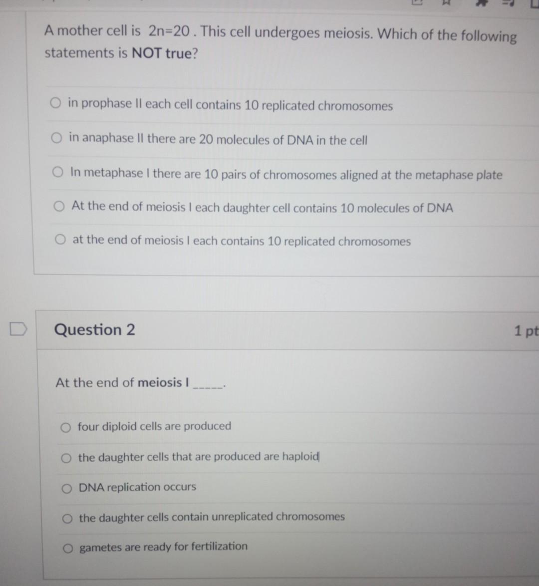 Solved A mother cell is 2n=20. This cell undergoes meiosis. | Chegg.com