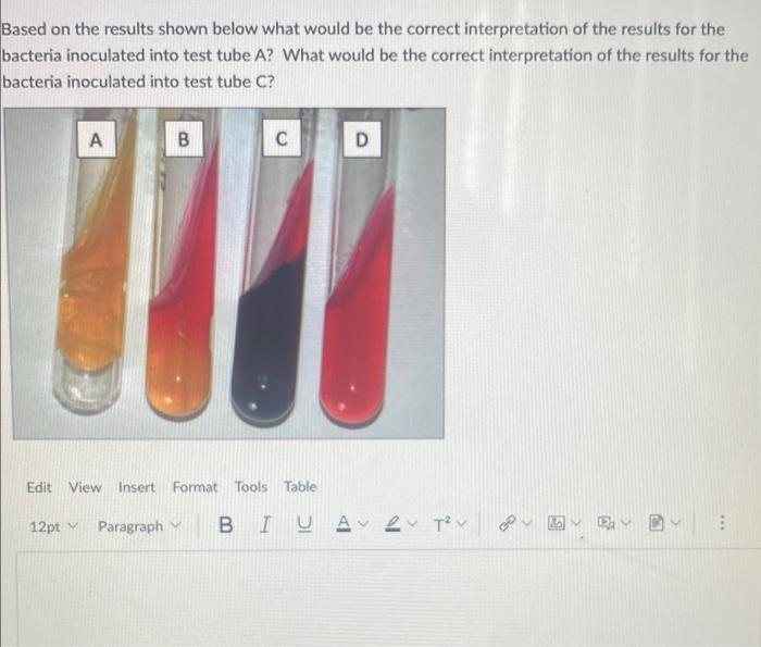 Solved Based on the results shown below what would be the | Chegg.com