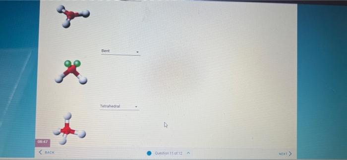 Solved Identify the root (electronic) geometry represented | Chegg.com